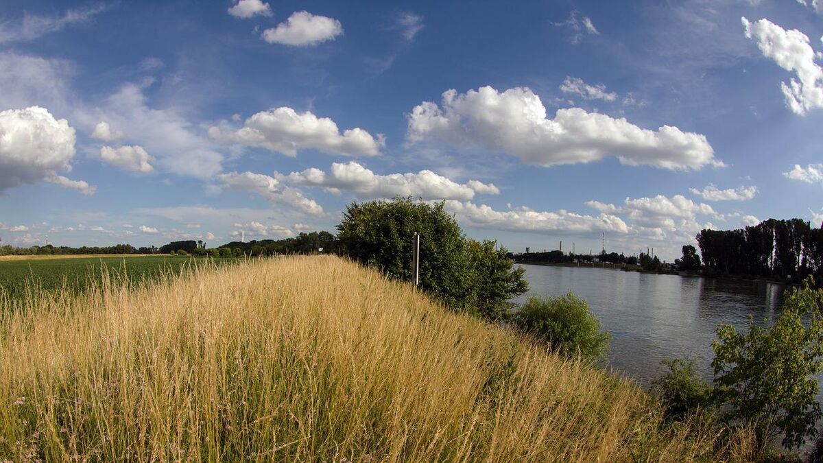 Deiche - Rhein, Main | rp-darmstadt.hessen.de